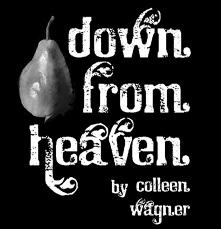 Down From Heaven by Colleen Wagner – Canadian Play Outlet