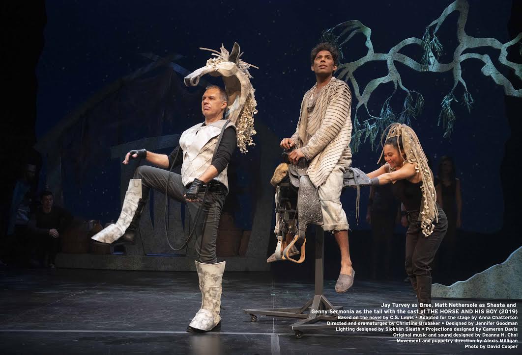 The Horse and His Boy by Anna Chatterton – Canadian Play Outlet